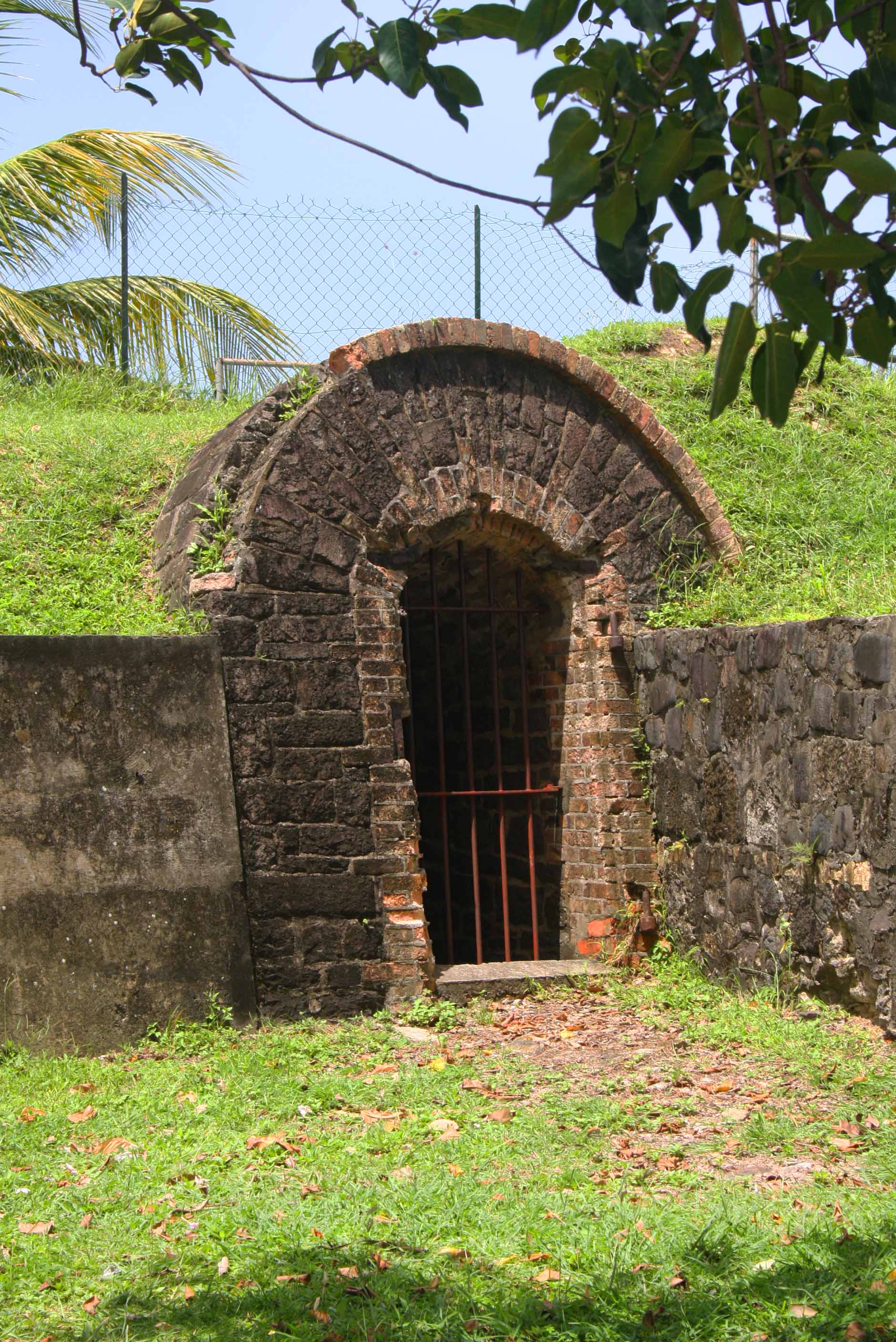 Animated Saint Louis Fort