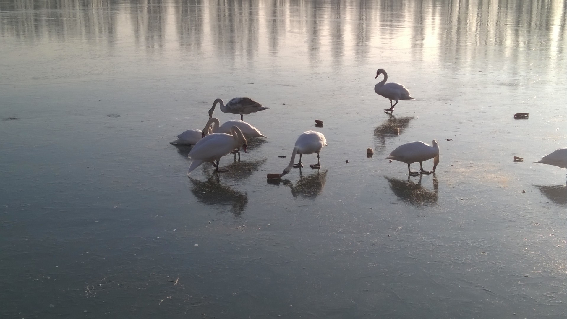 Camping Les Terres Rouges à Clérey - Aube Champagne